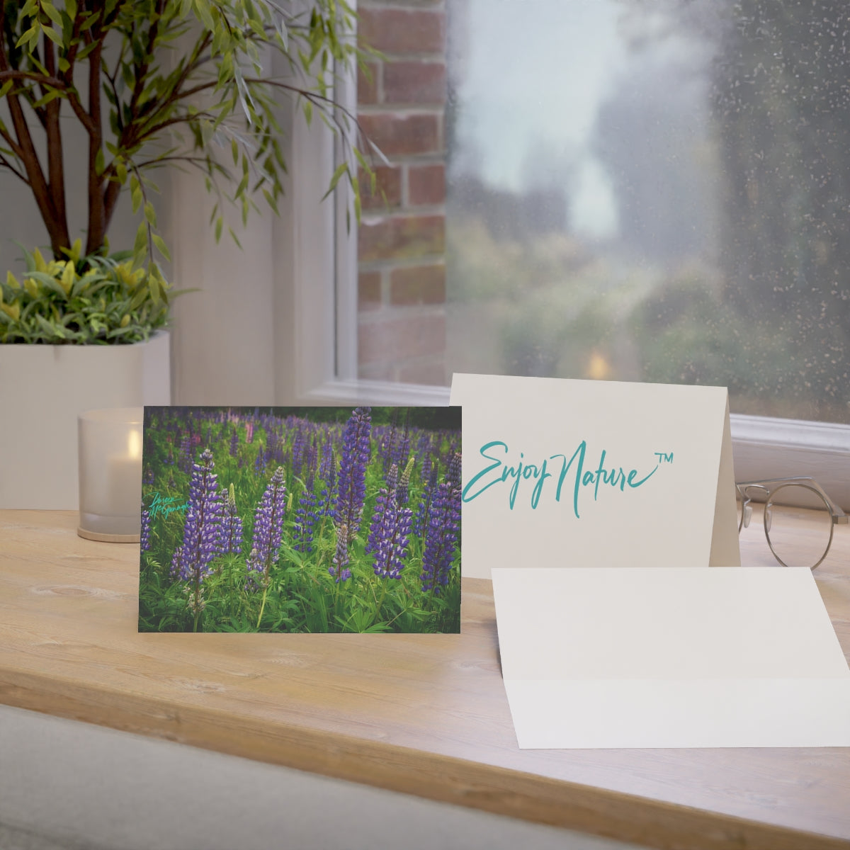 Home & Gift Note Cards – SpiritedDesignStudio